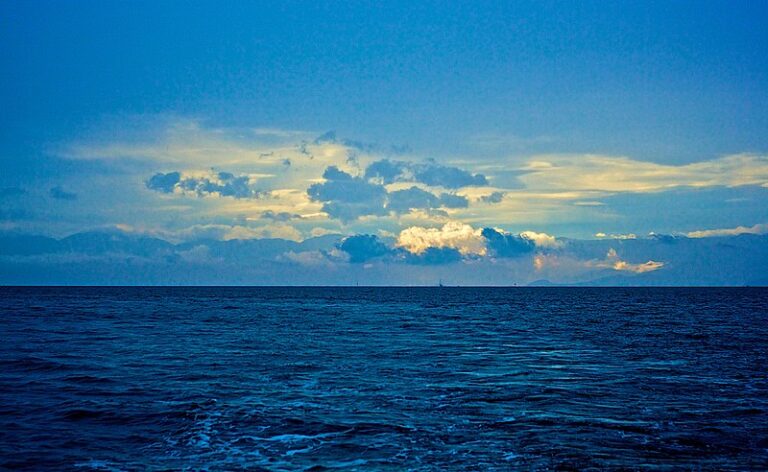 The Global Water Cycle - ESSIC